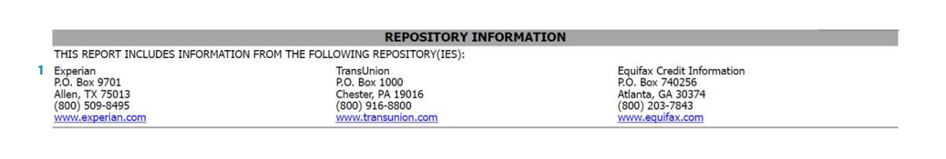 How to Read a Credit Report